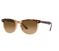 Ray-Ban sunglasses Eagleeye RB2398 129431