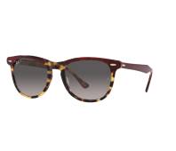 Ray-Ban sunglasses Eagleeye RB2398 129431