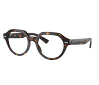 Ray-Ban Glasses Gina RX7214 8258