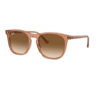 Ray-Ban Sunglasses RB2210 901/58