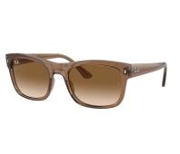 Ray-Ban Sunglasses RB4428 601/31