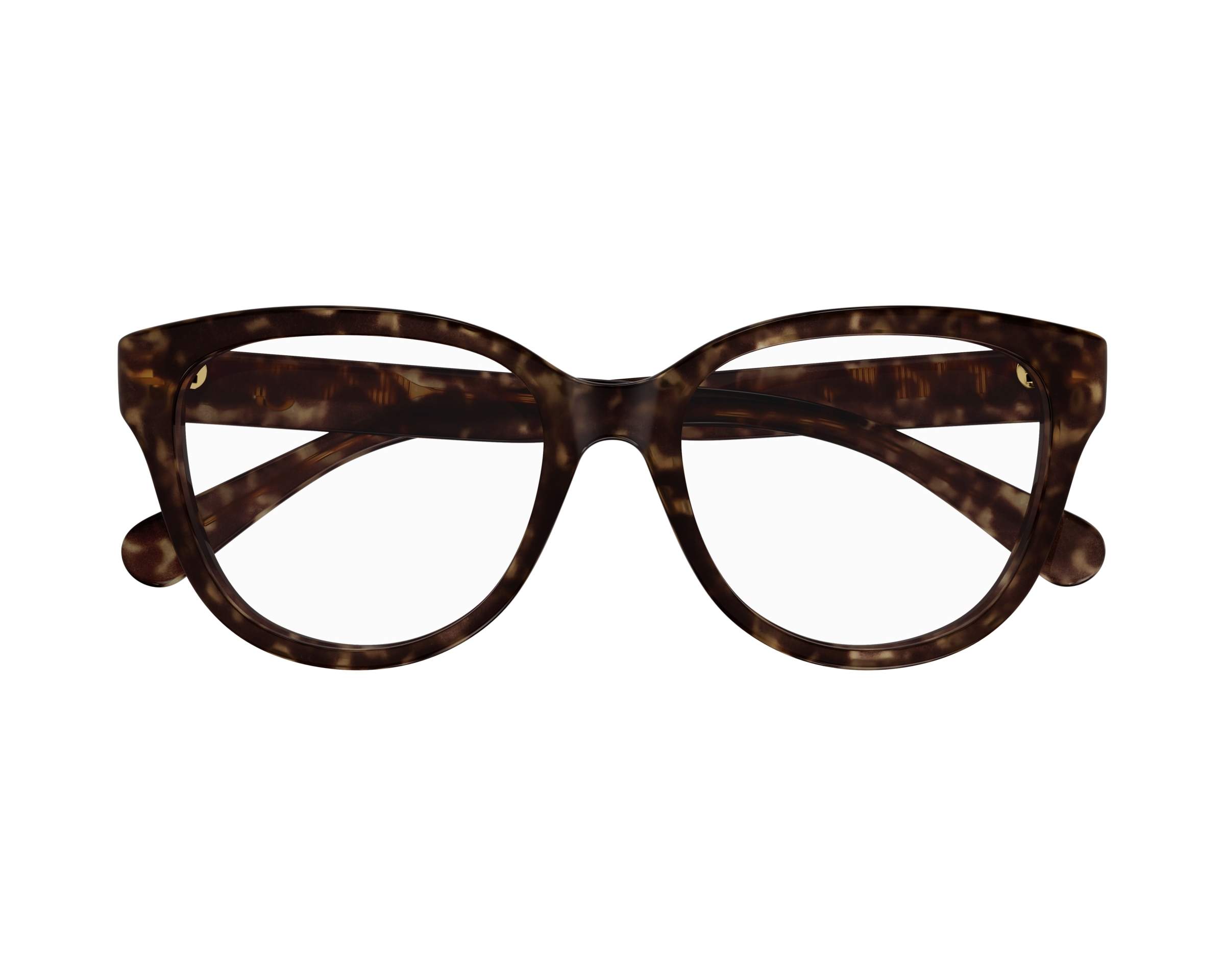 Chloe Glasses CH0243O 002