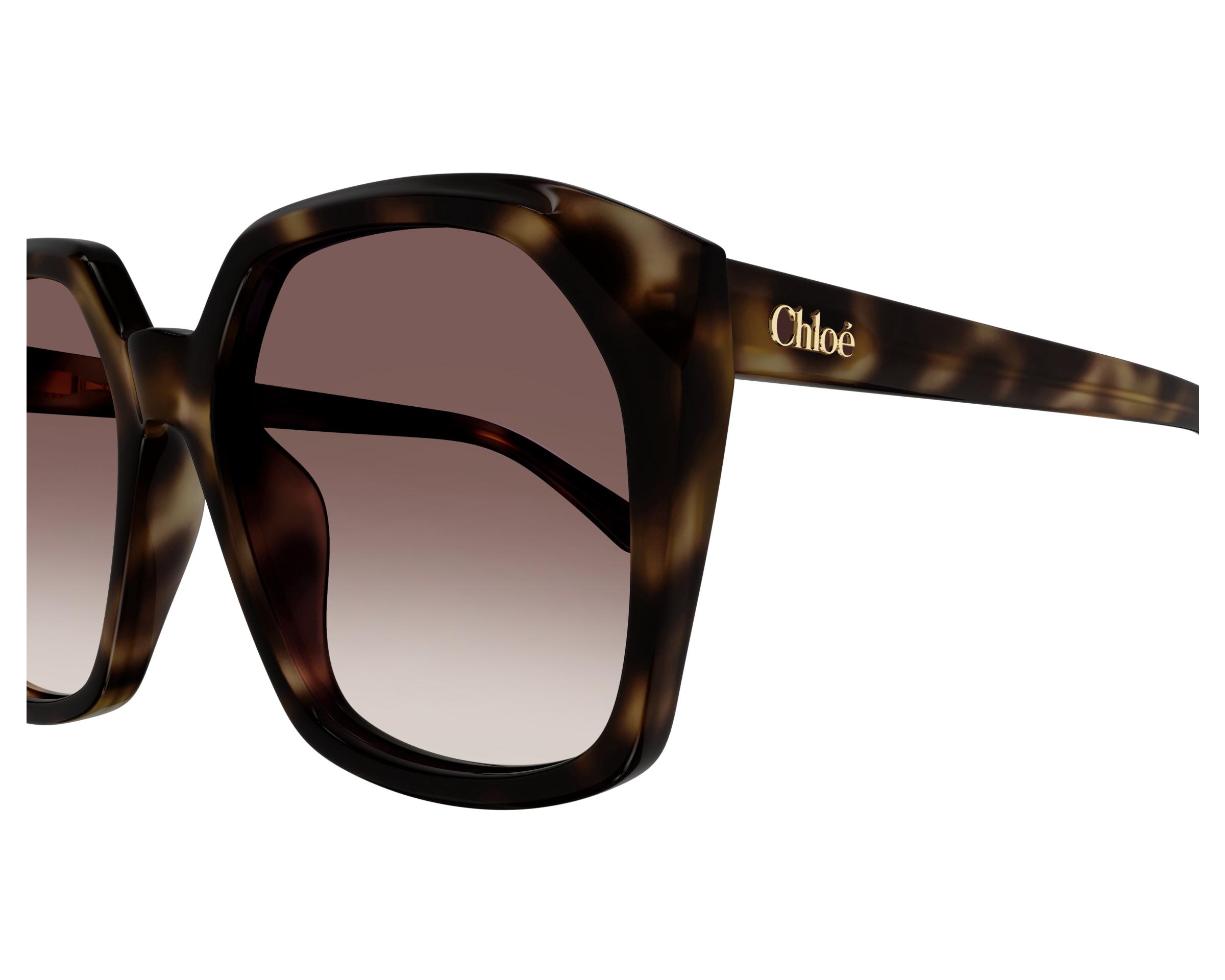 Chloe Sunglasses CH0280S 006
