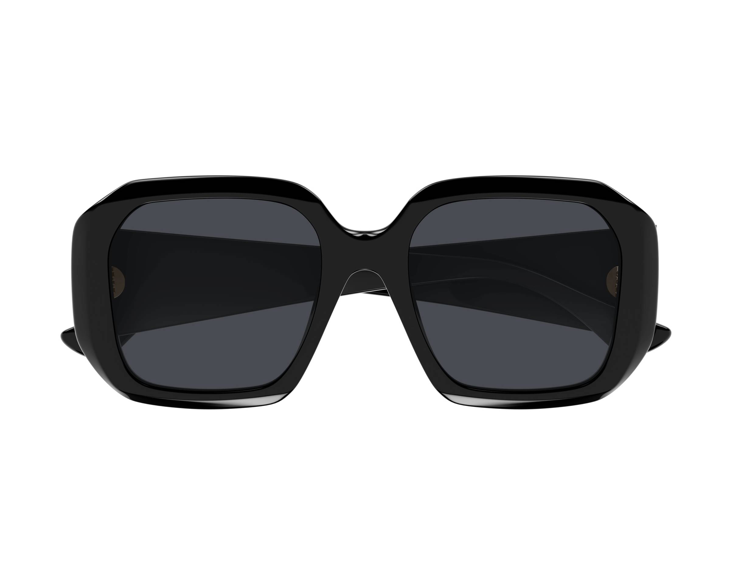 Chloe Sunglasses IZIA CH0300S 001