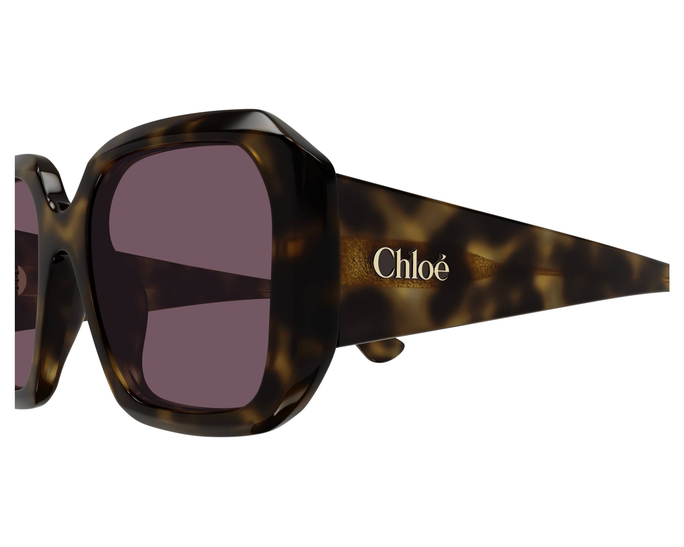 Chloe Sunglasses IZIA CH0300S 002