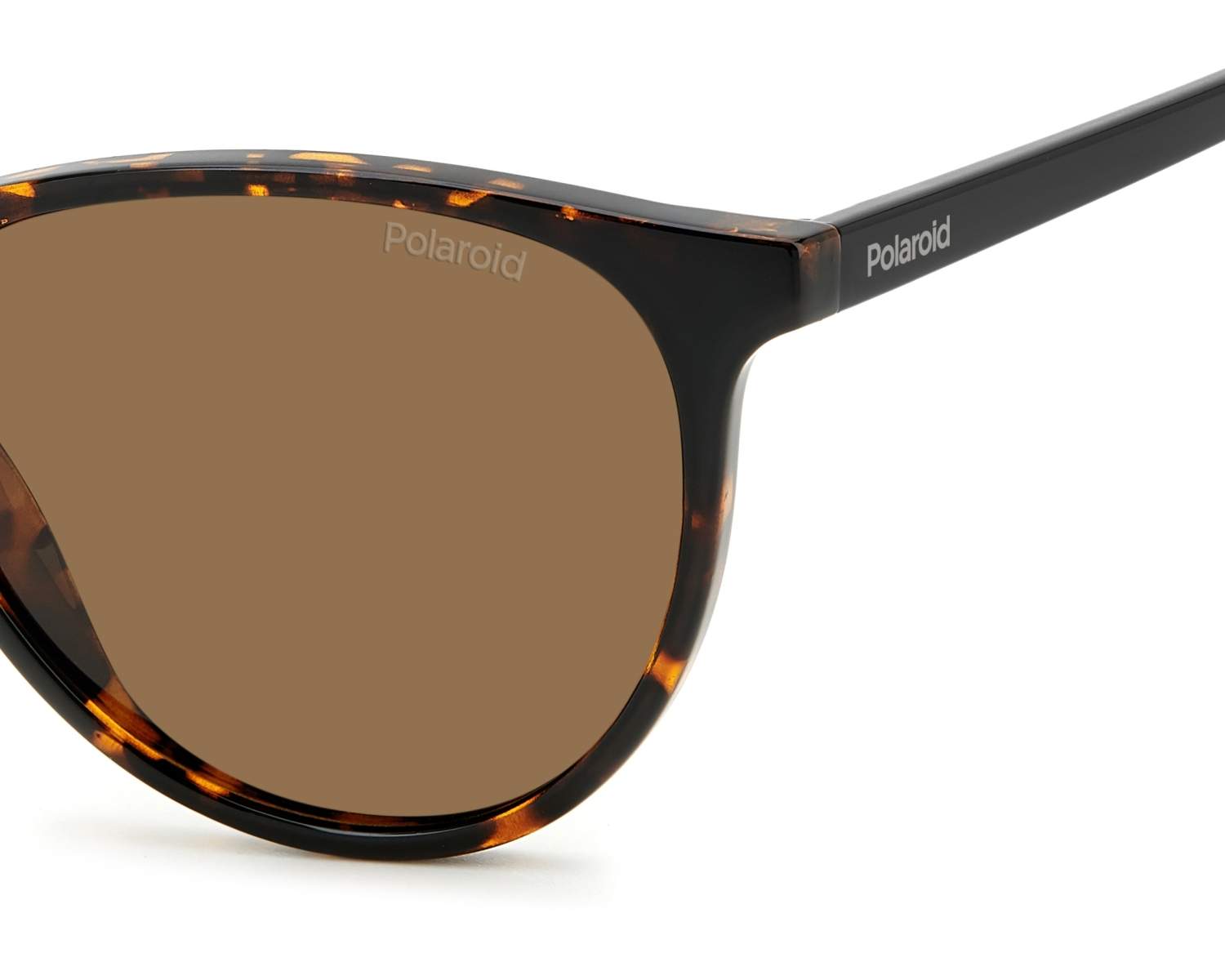 Polaroid Sunglasses PLD-4152-S 086SP