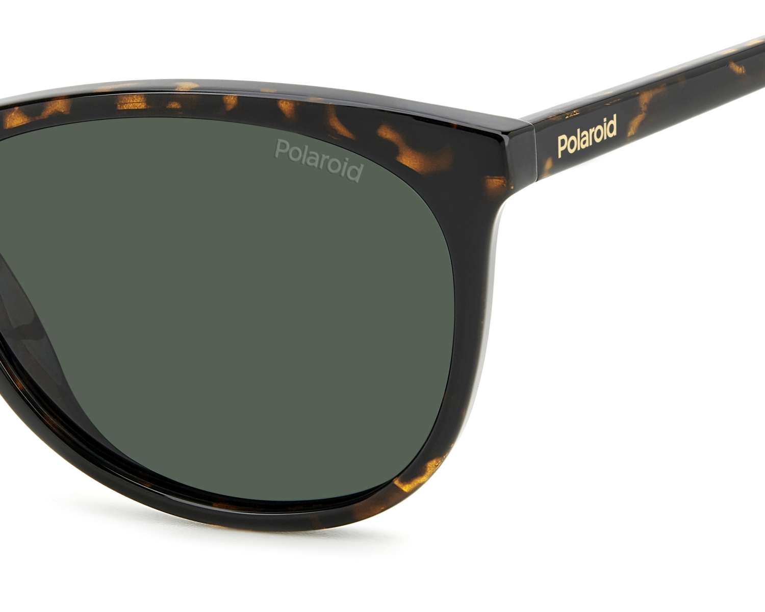 Polaroid Sunglasses PLD-4161-S 086/UC