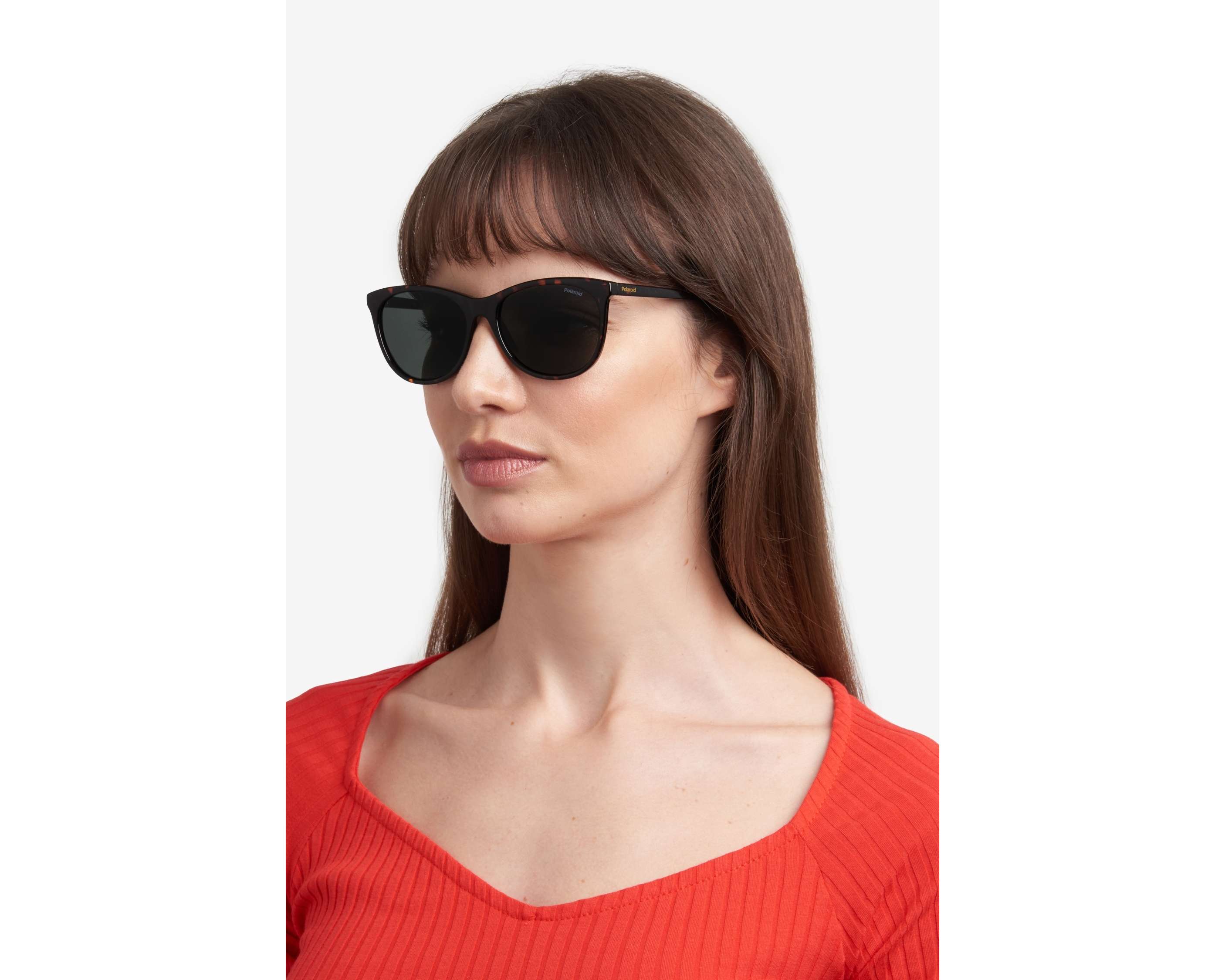 Polaroid Sunglasses PLD-4161-S 086/UC