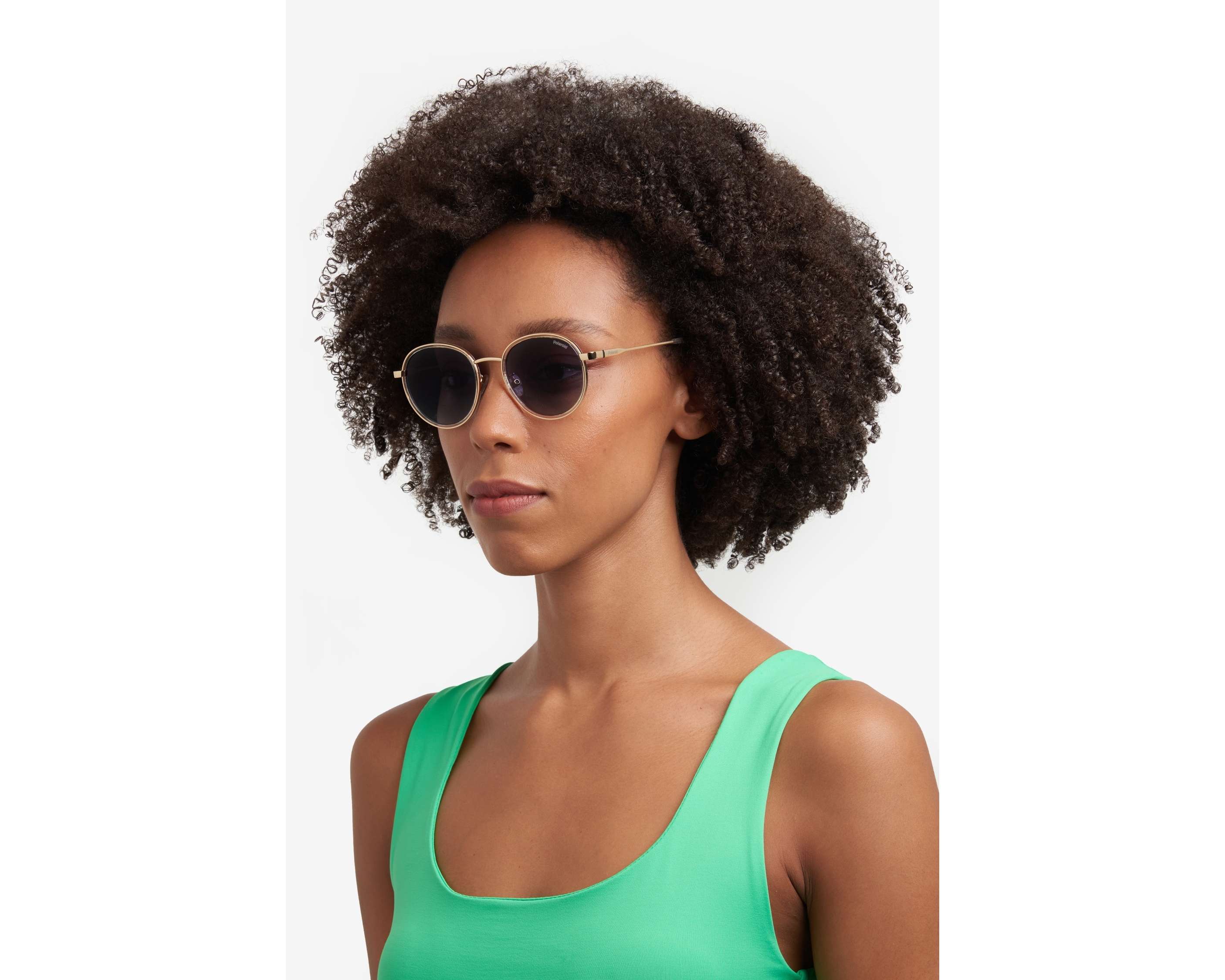 Polaroid Sunglasses PLD-4173-G-S-X 2F7/WJ