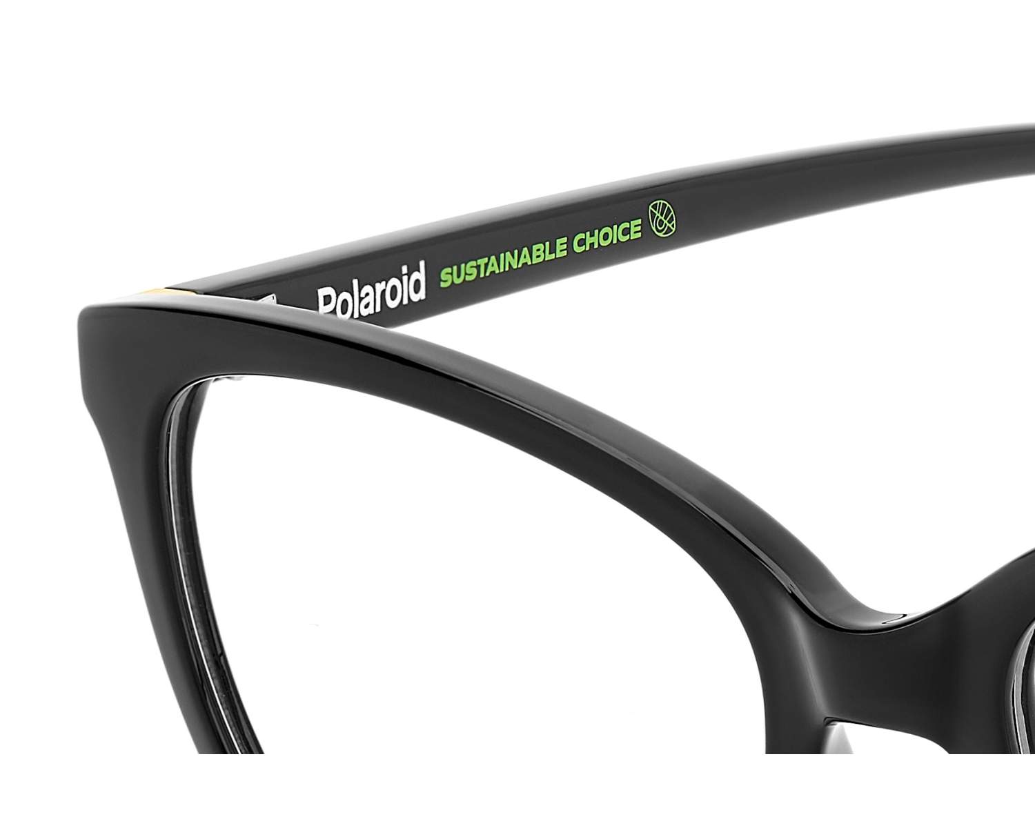 Polaroid Glasses PLD-D504 807