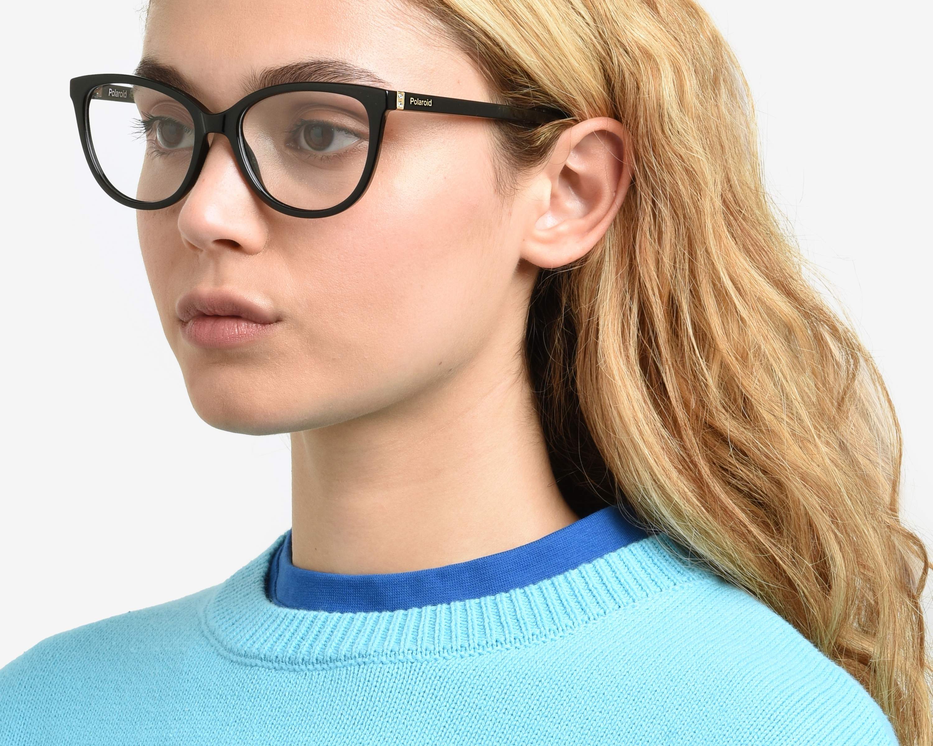 Polaroid Glasses PLD-D504 807