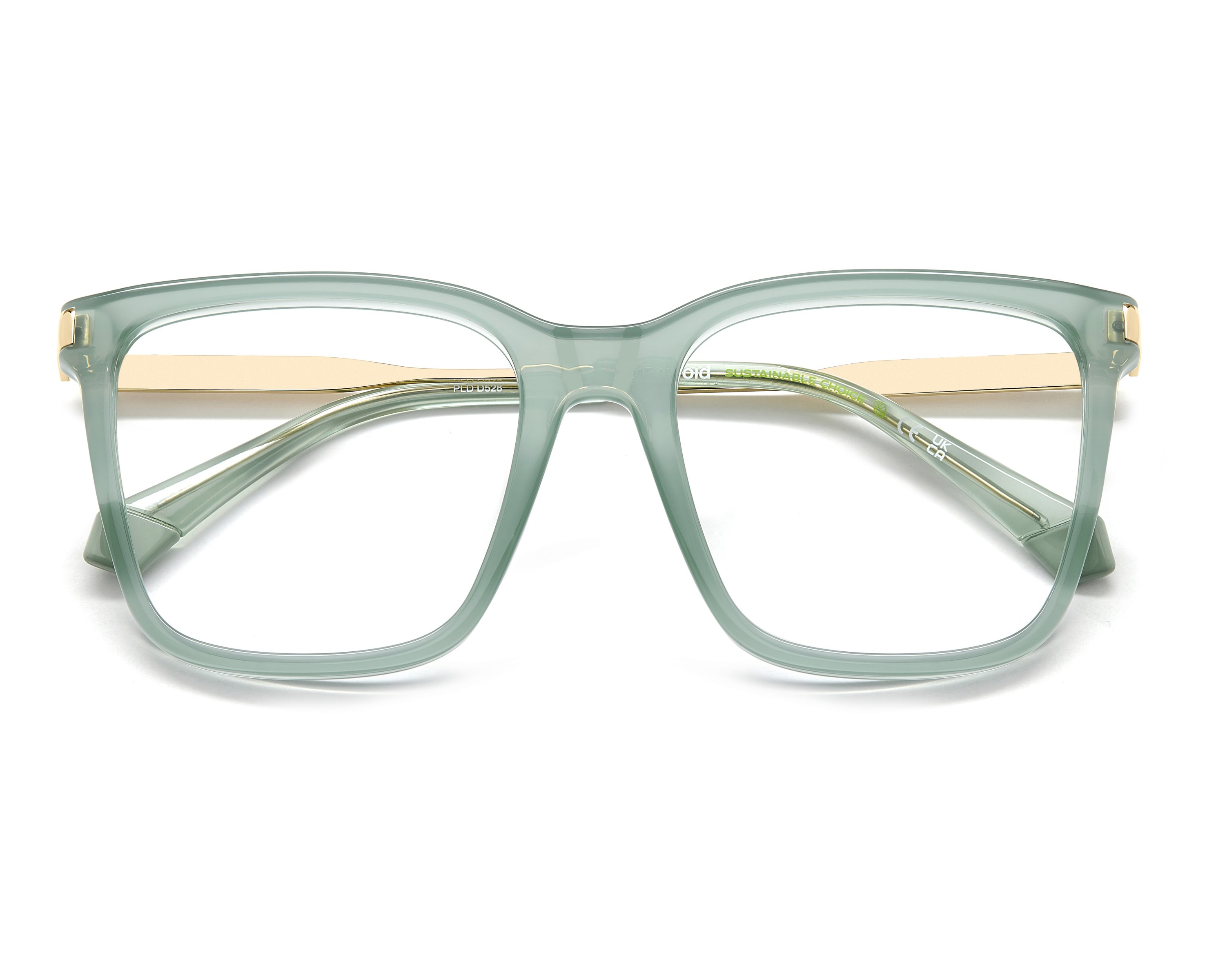 Polaroid Glasses PLD-D528 1ED