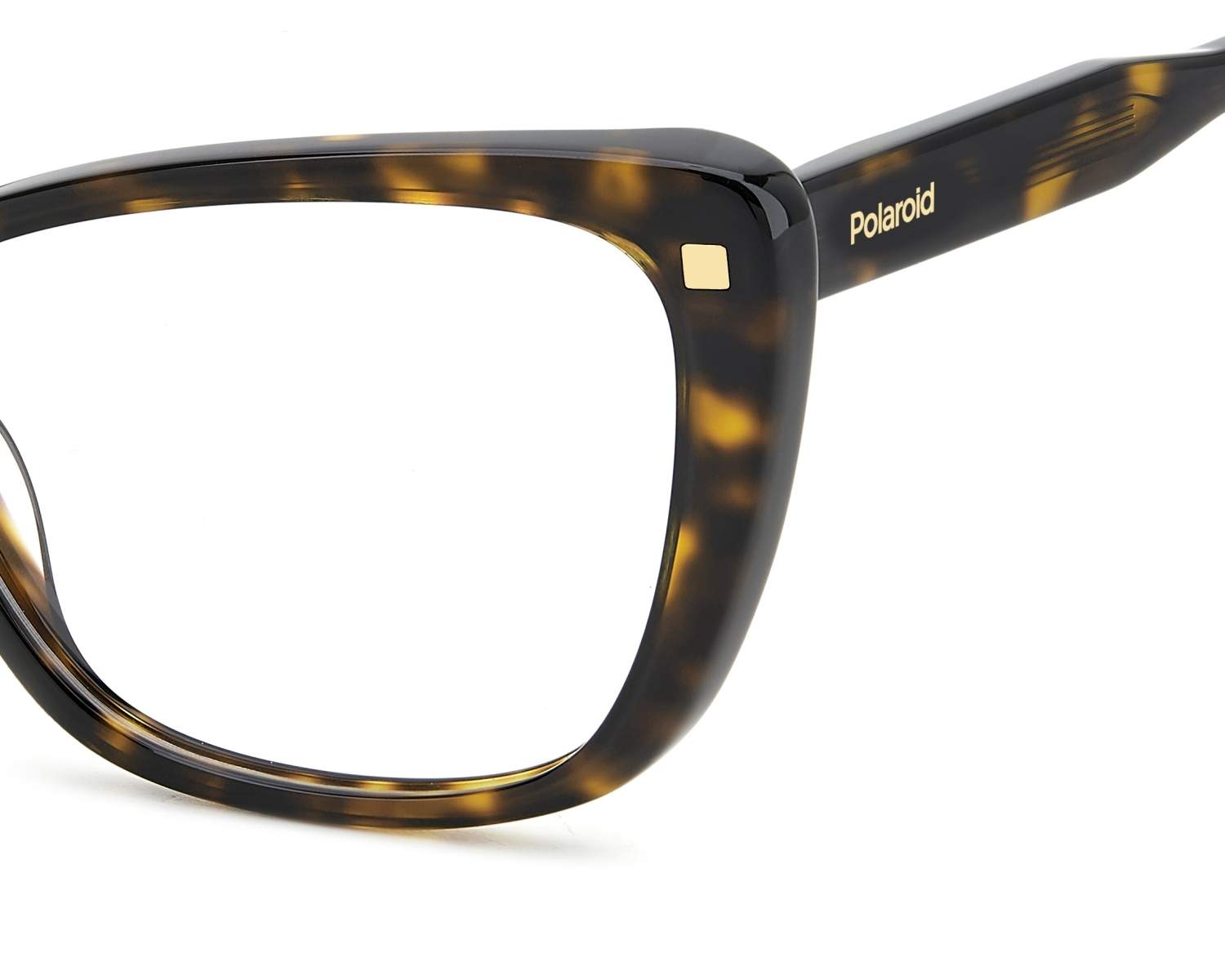 Polaroid Glasses PLD-D542 086