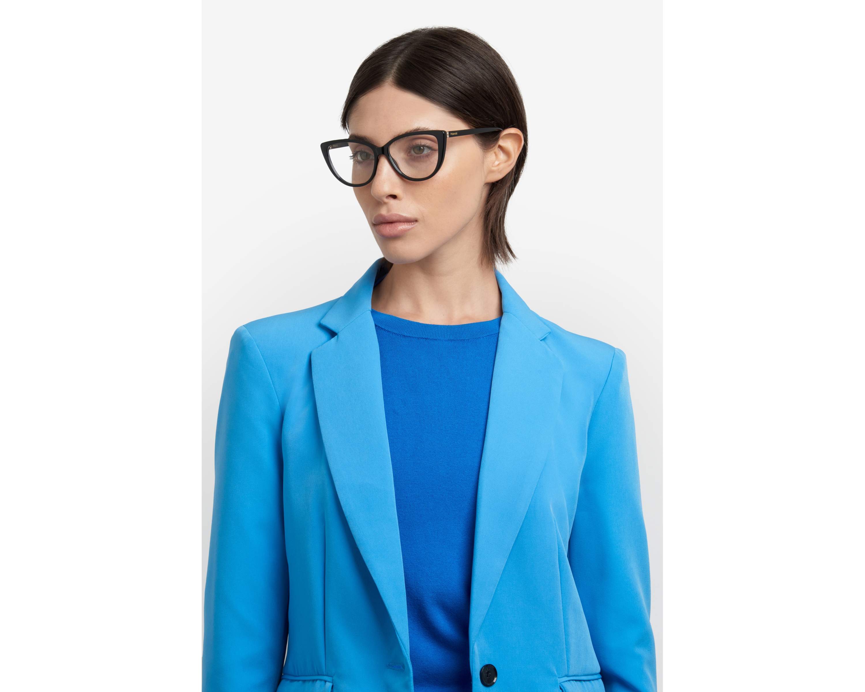 Polaroid Glasses PLD-D543 807