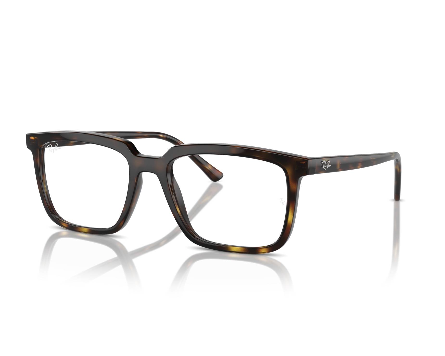 Ray-Ban Glasses Alain RX7239 2012