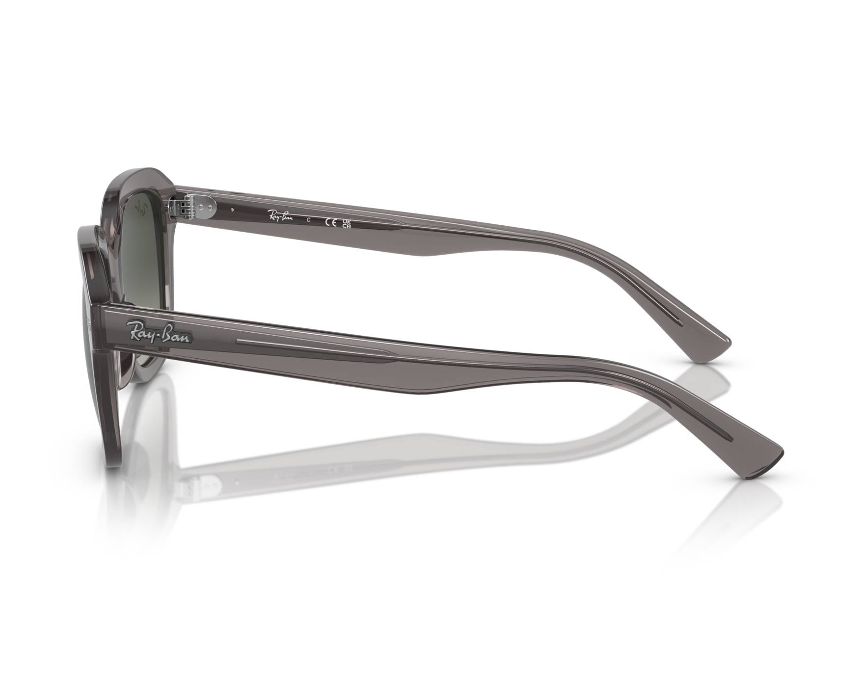 Ray-Ban Sunglasses Erik RB4398 667571