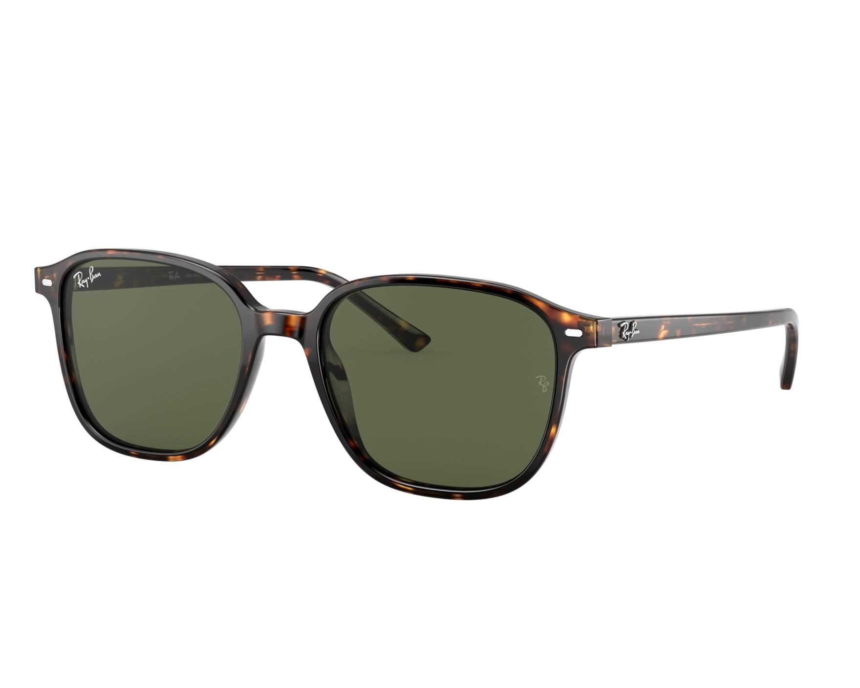 Ray-Ban Sunglasses Leonard RB2193 902/31