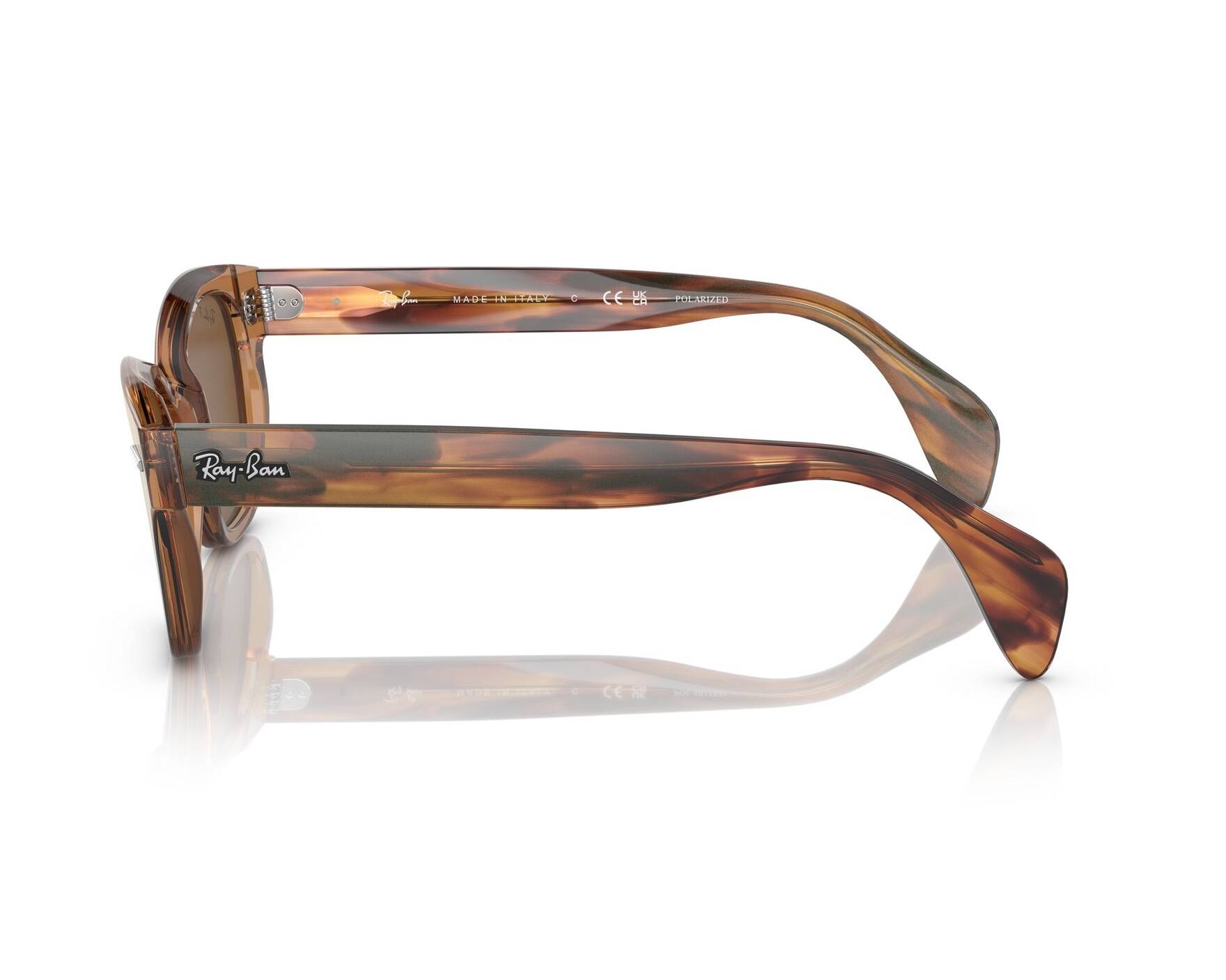 Ray-Ban Sunglasses RB0880S 664057