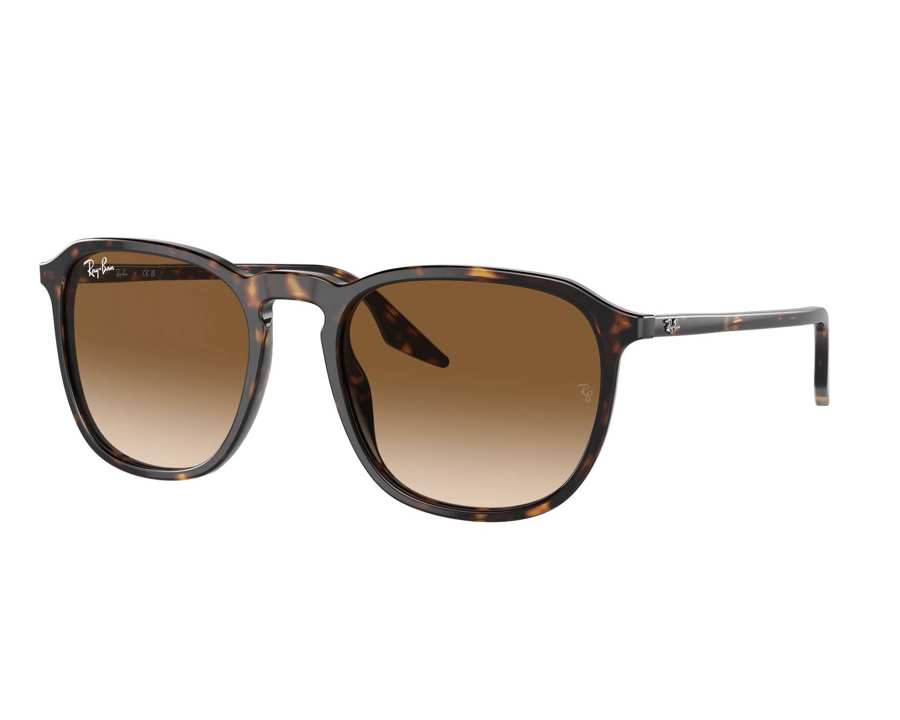 Ray-Ban Sunglasses RB2203 902/51