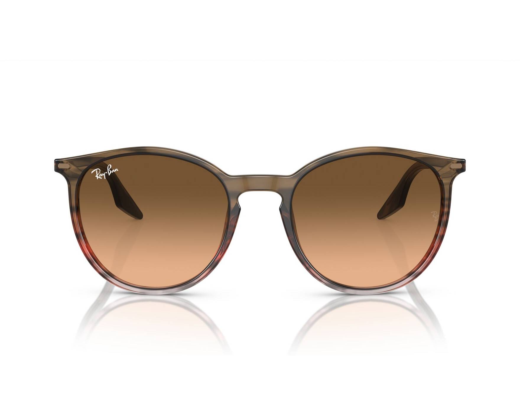 Ray-Ban Sunglasses RB2204 13953B