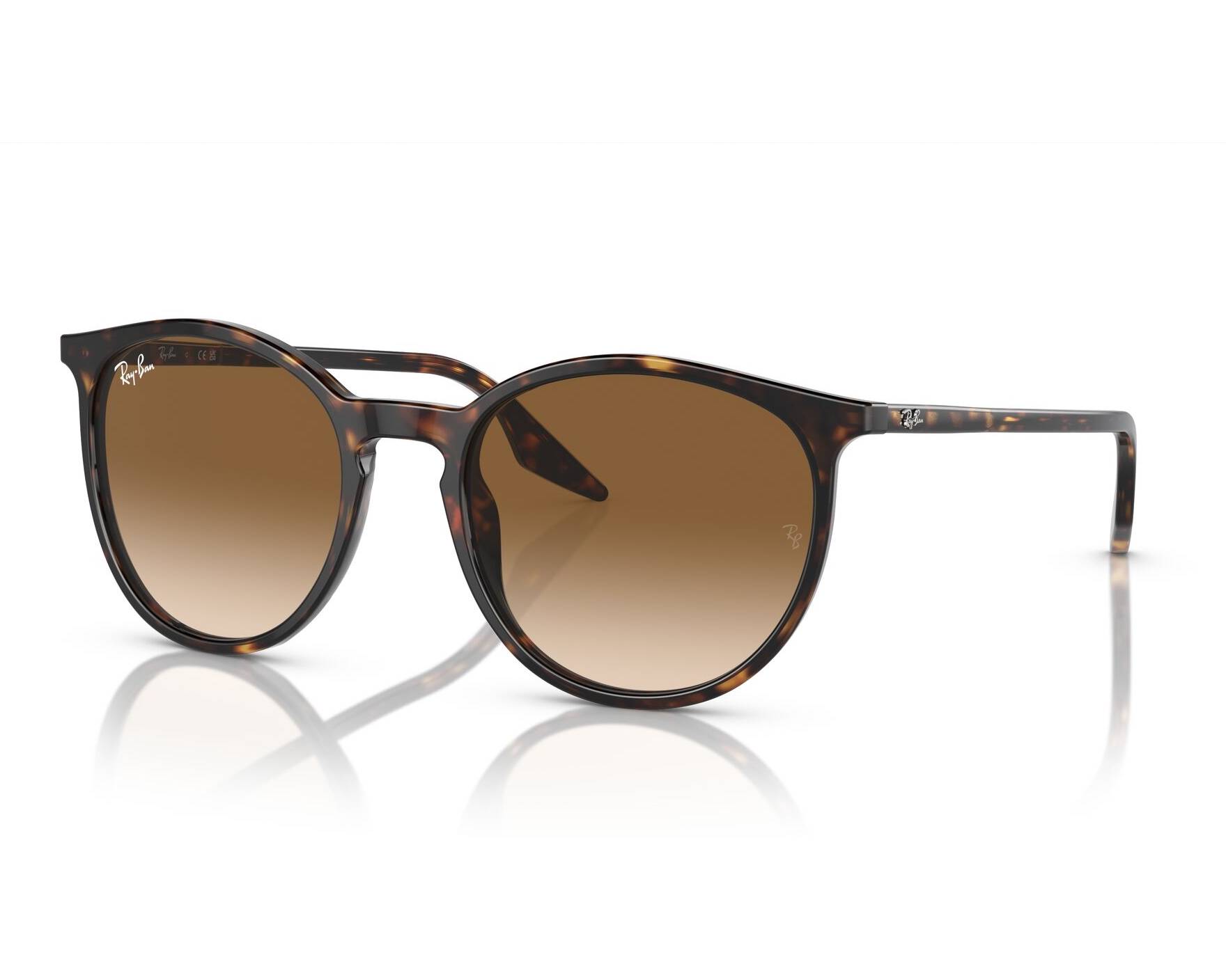 Ray-Ban Sunglasses RB2204 902/51