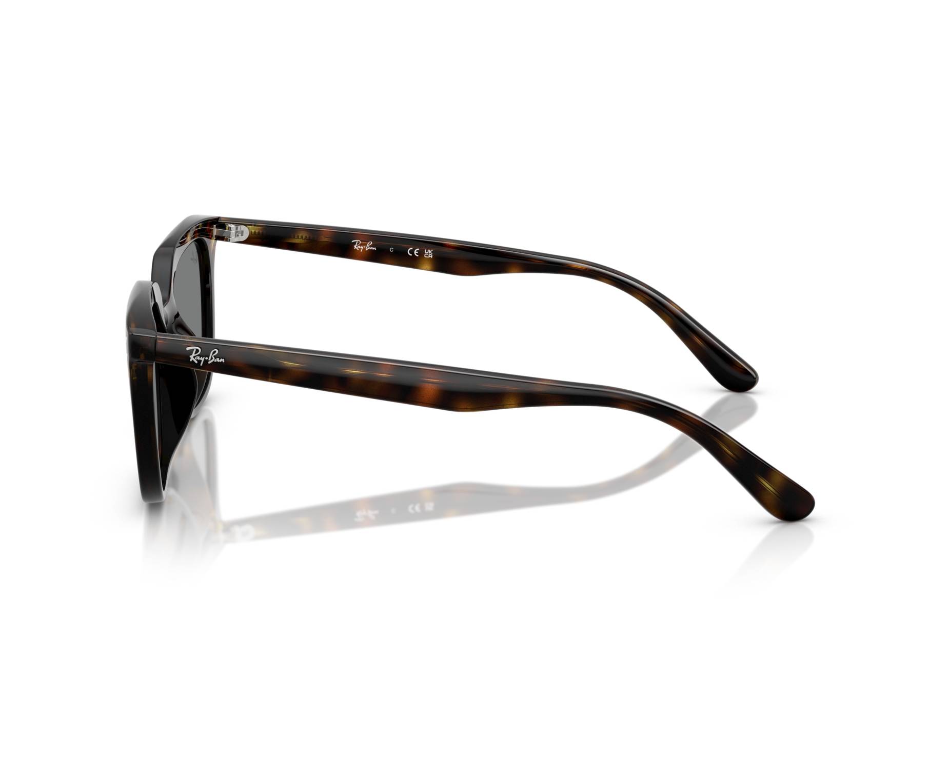 Ray-Ban Sunglasses RB4439D 710/87
