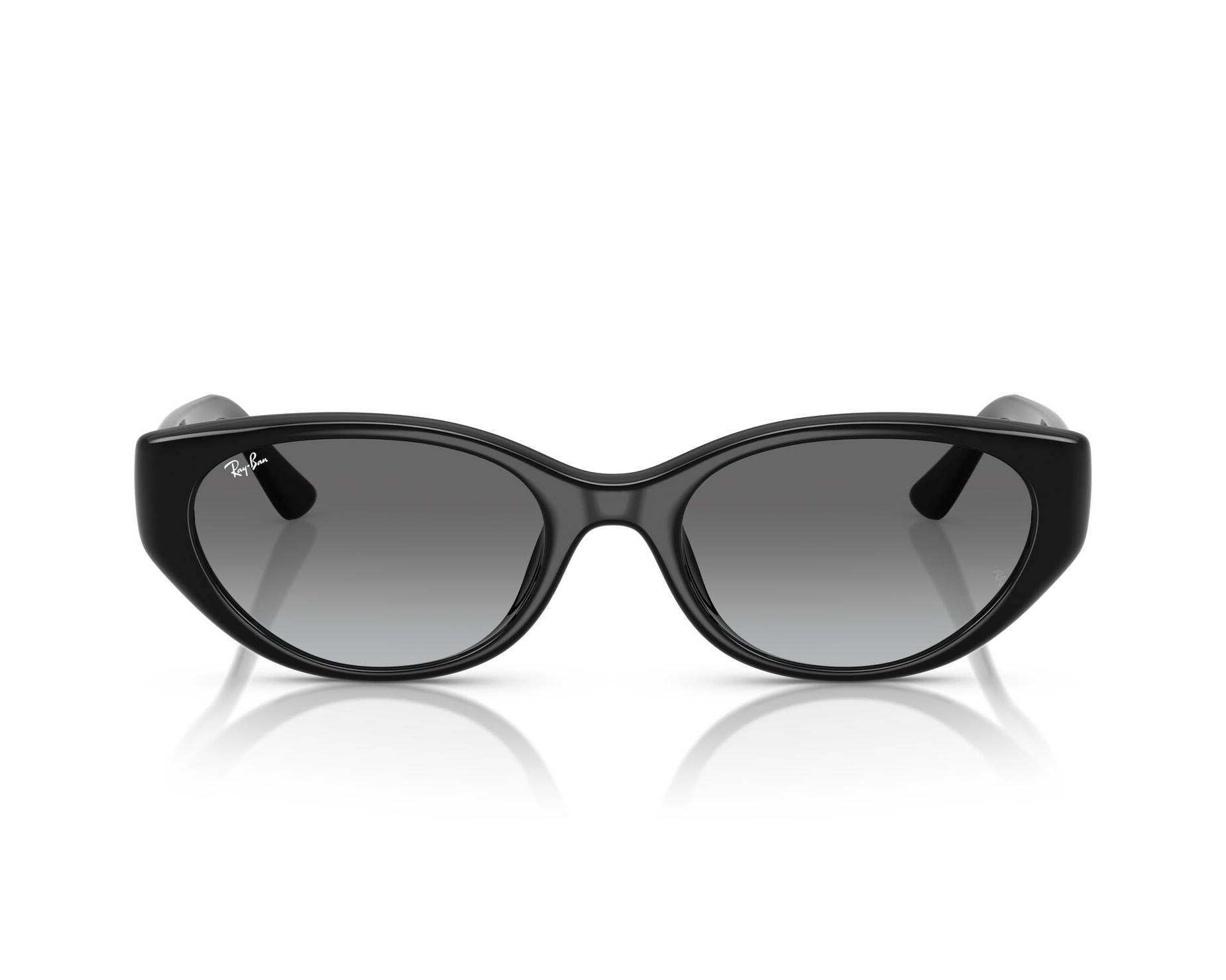 Ray-Ban Sunglasses RB4457D 667711