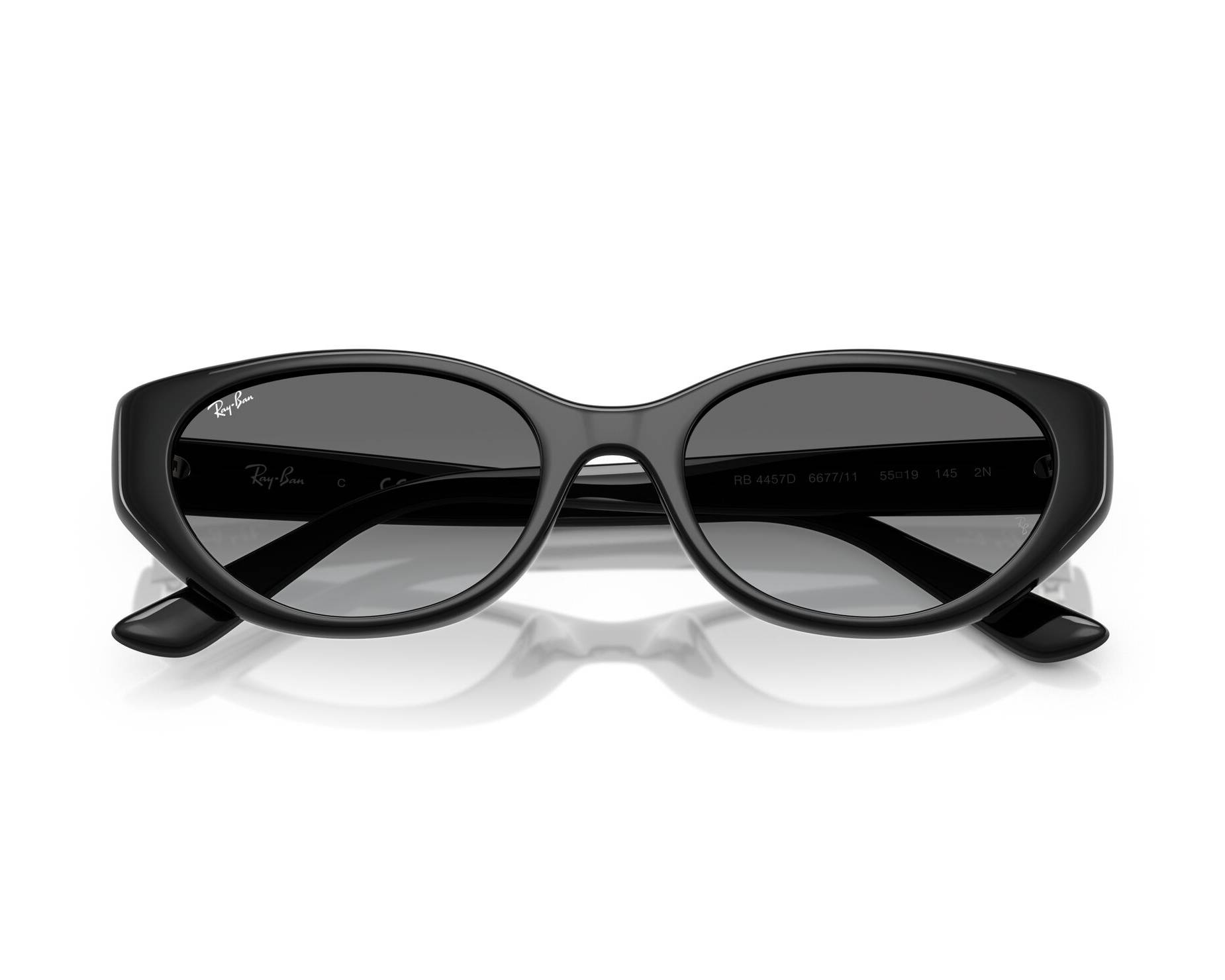 Ray-Ban Sunglasses RB4457D 667711