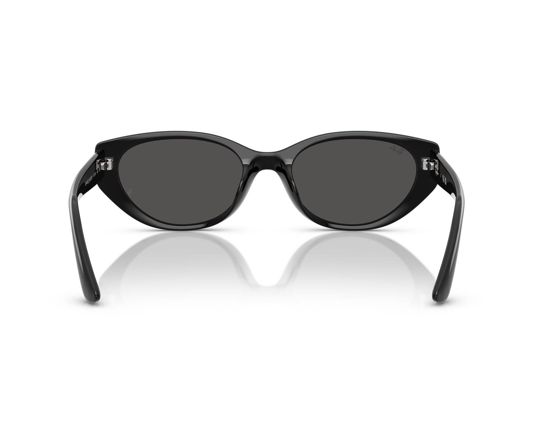 Ray-Ban Sunglasses RB4457D 667787