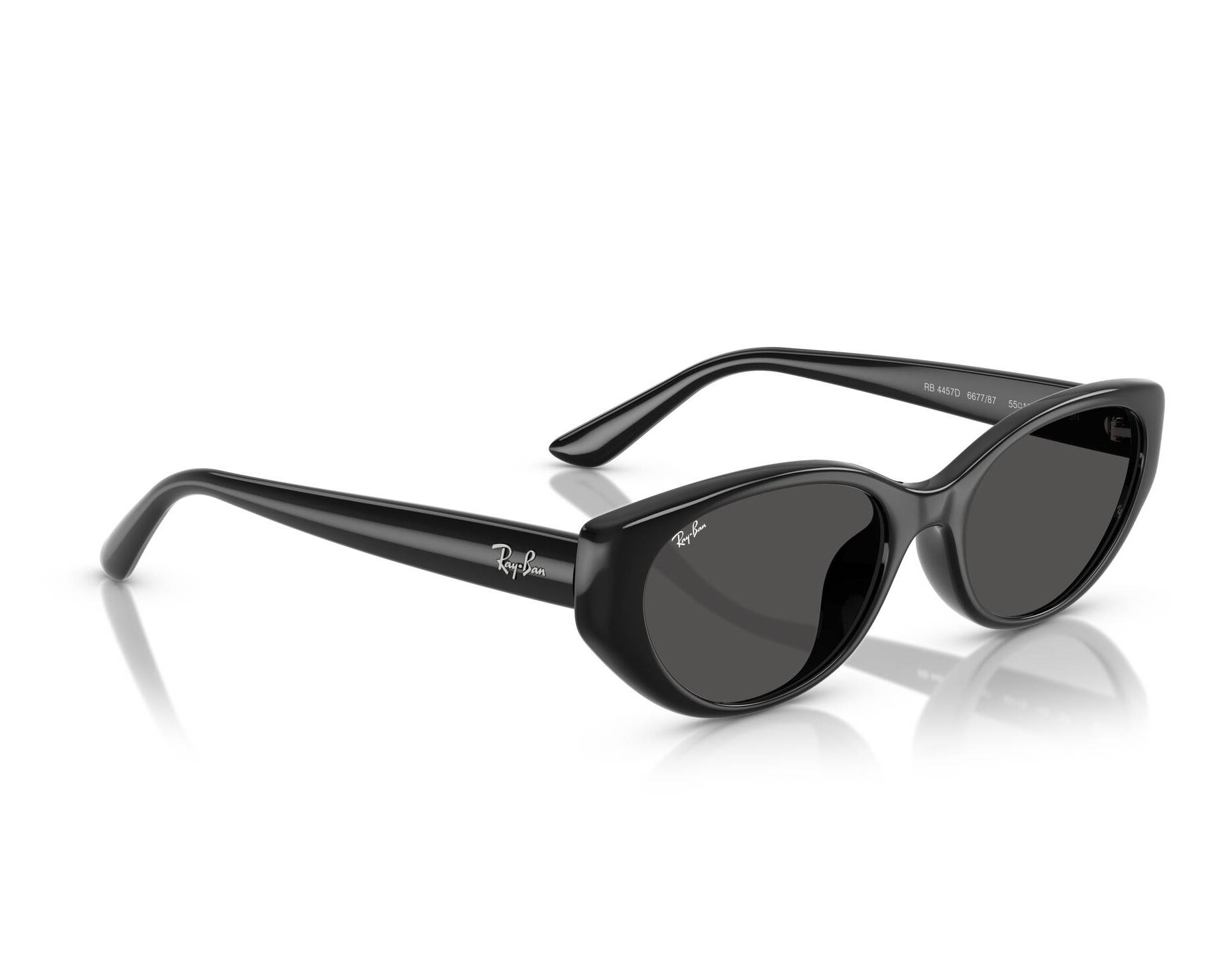 Ray-Ban Sunglasses RB4457D 667787