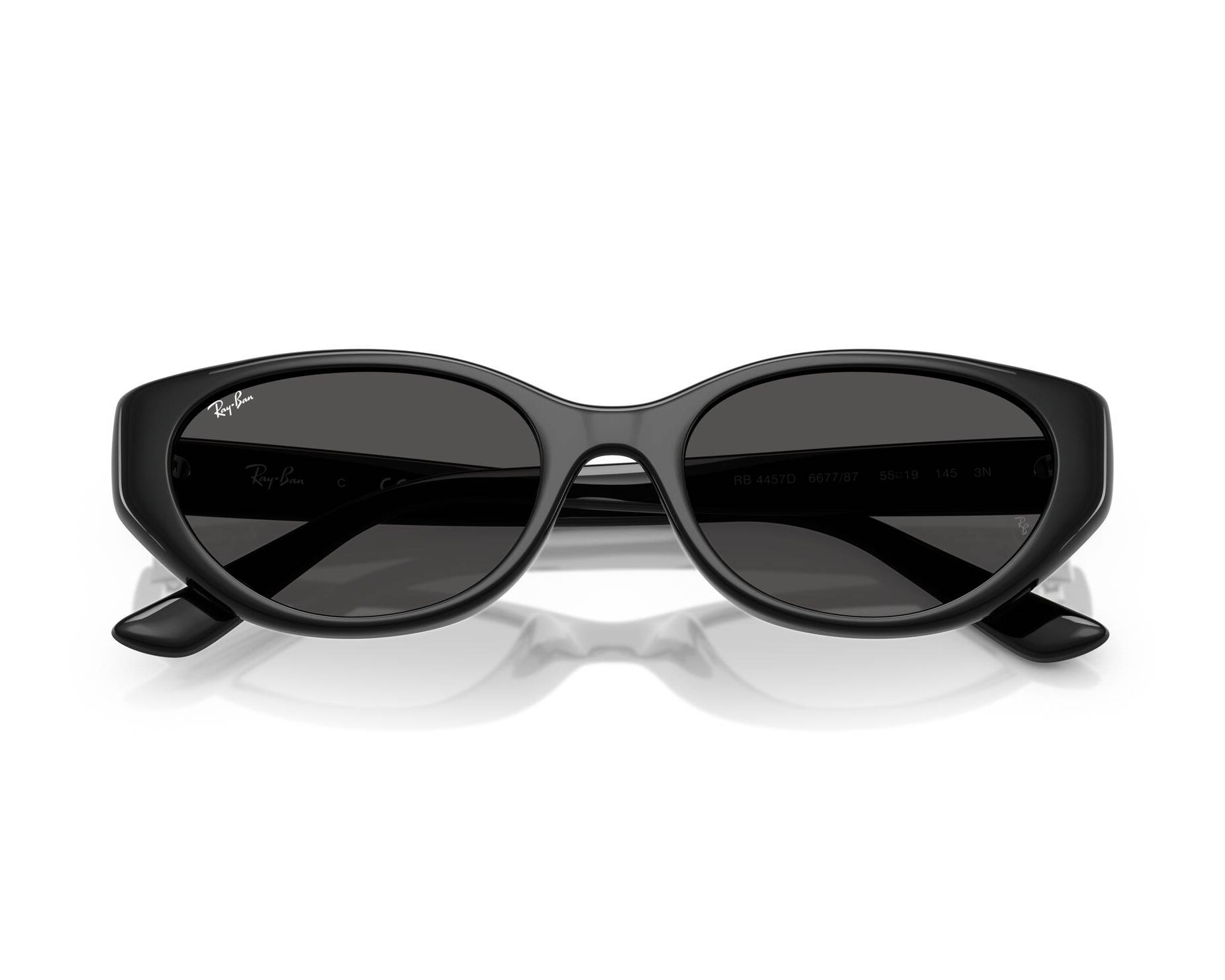 Ray-Ban Sunglasses RB4457D 667787