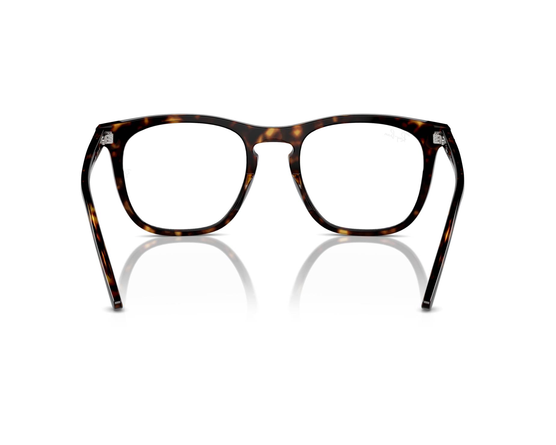 Ray-Ban Glasses RX2210V 2012