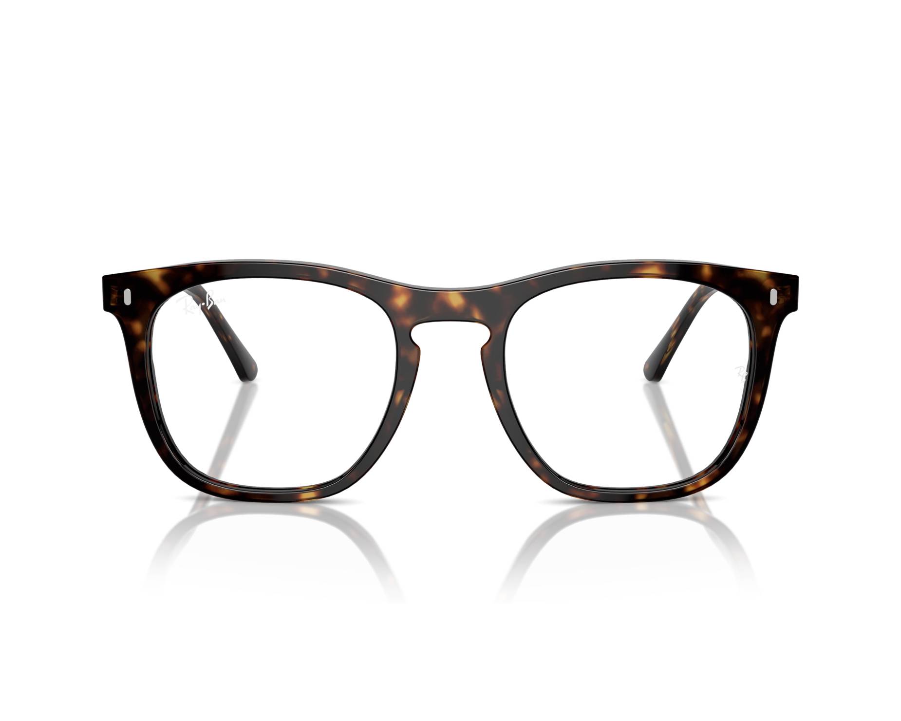 Ray-Ban Glasses RX2210V 2012