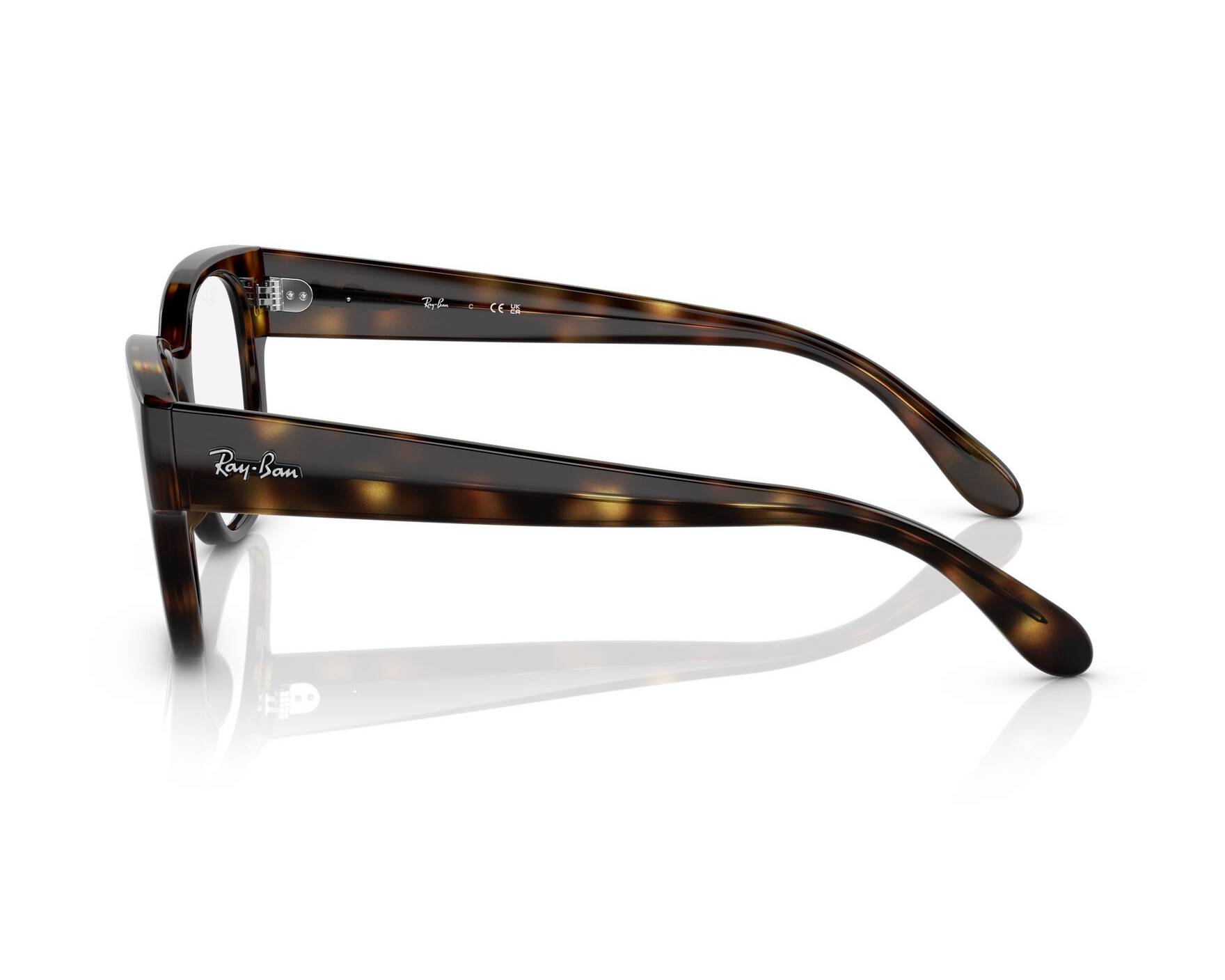 Ray-Ban Glasses RX7210 2012