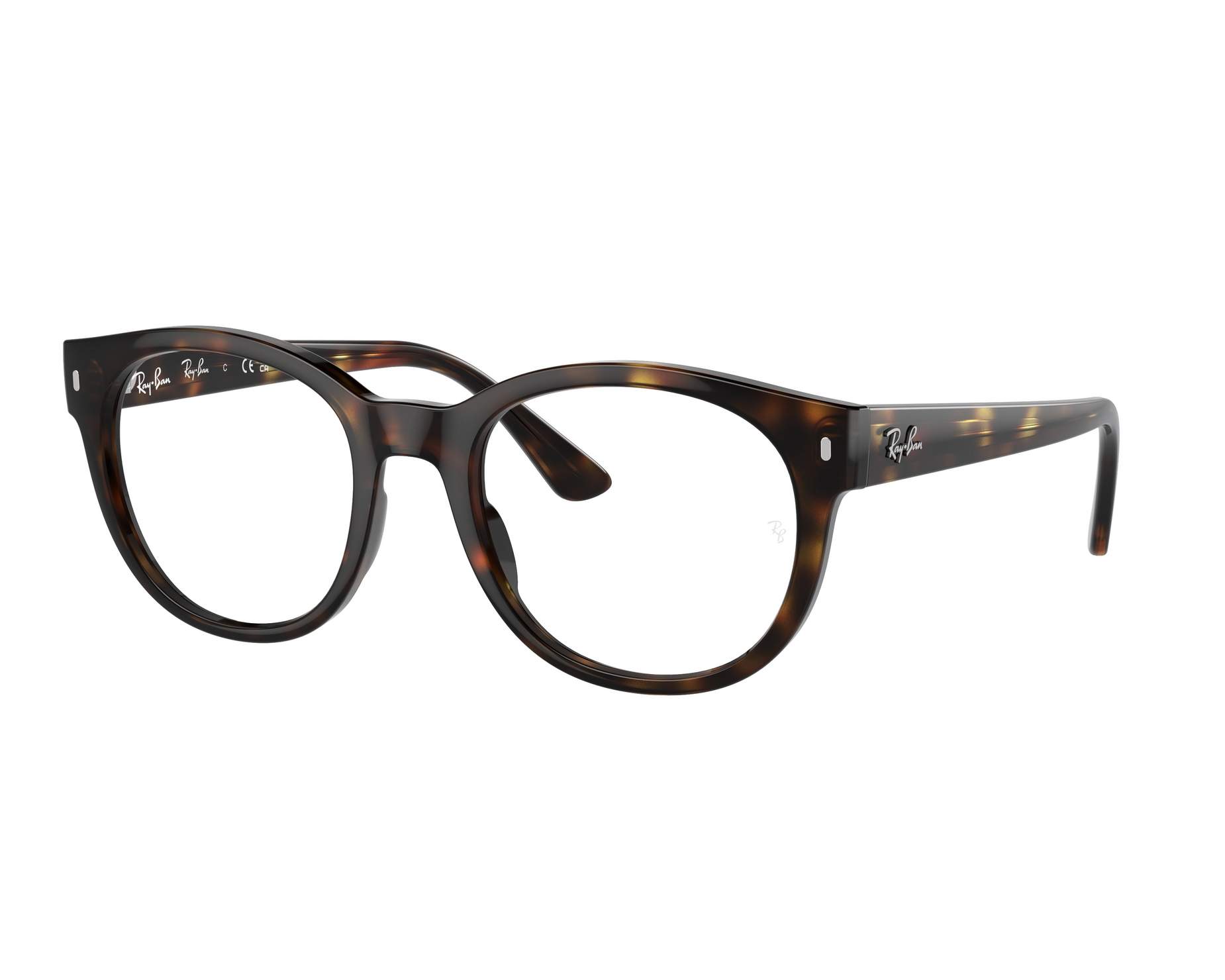 Ray-Ban Glasses RX7227 2012