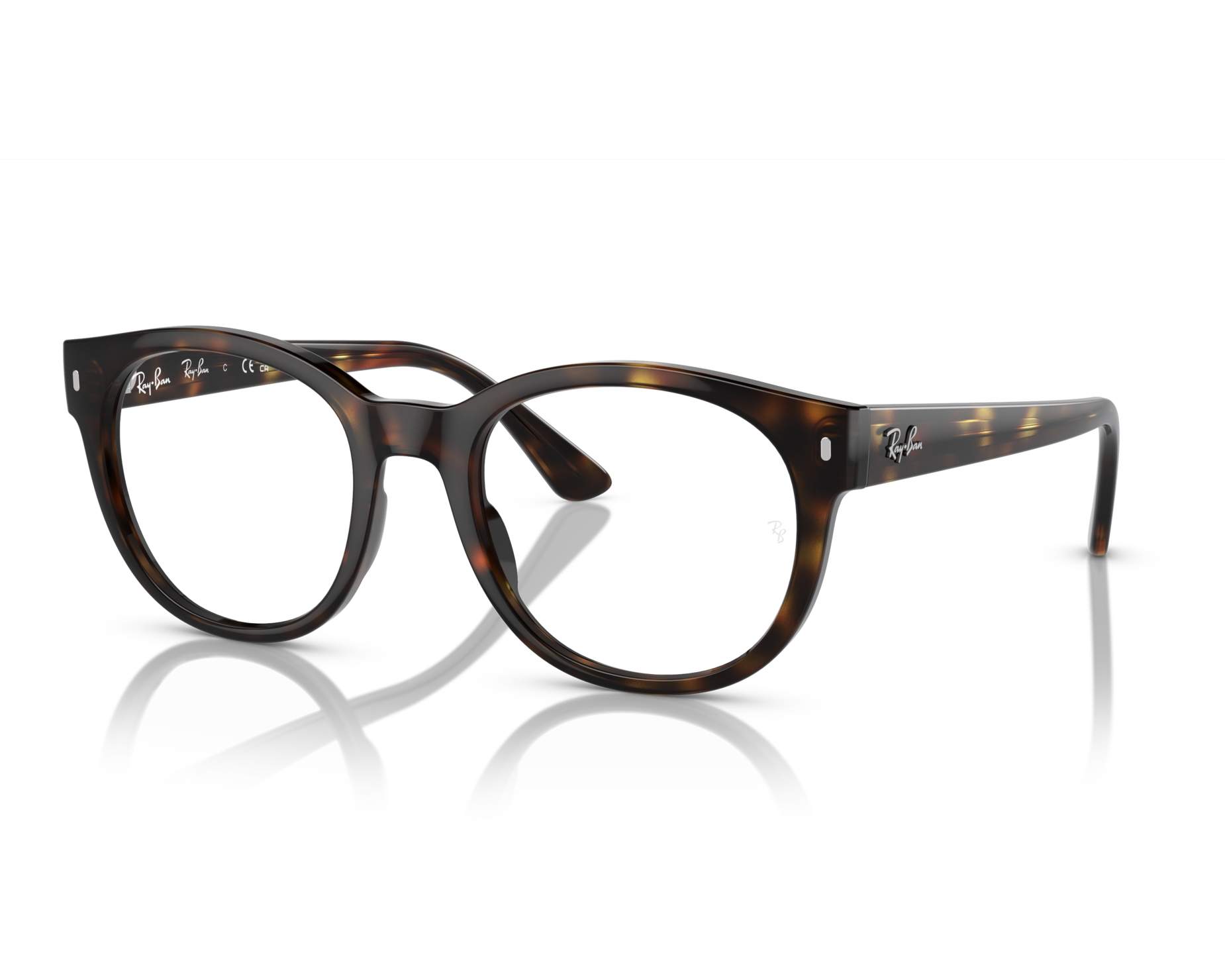 Ray-Ban Glasses RX7227 2012