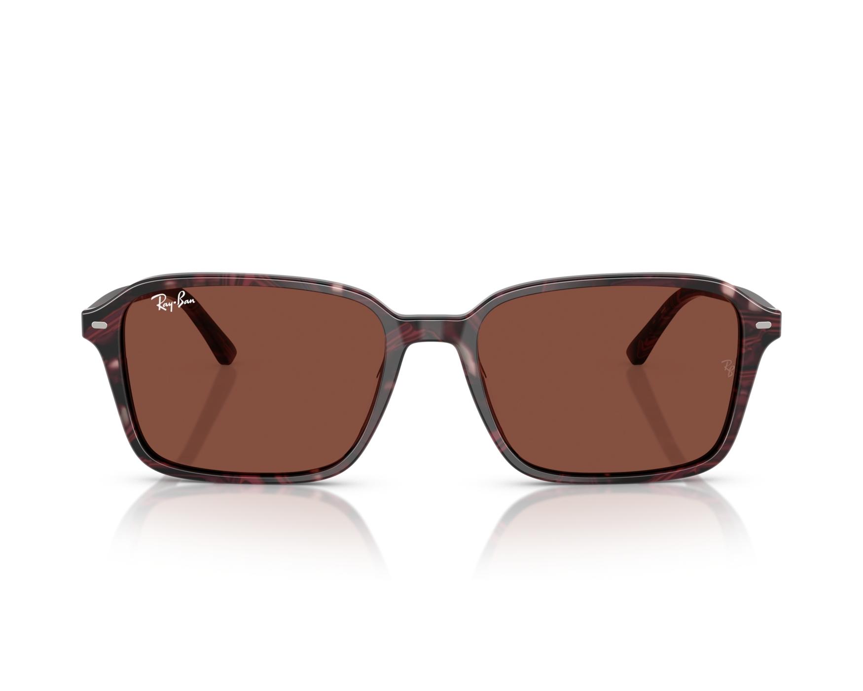 Ray-Ban Sunglasses Raimond RB2231 1416C5