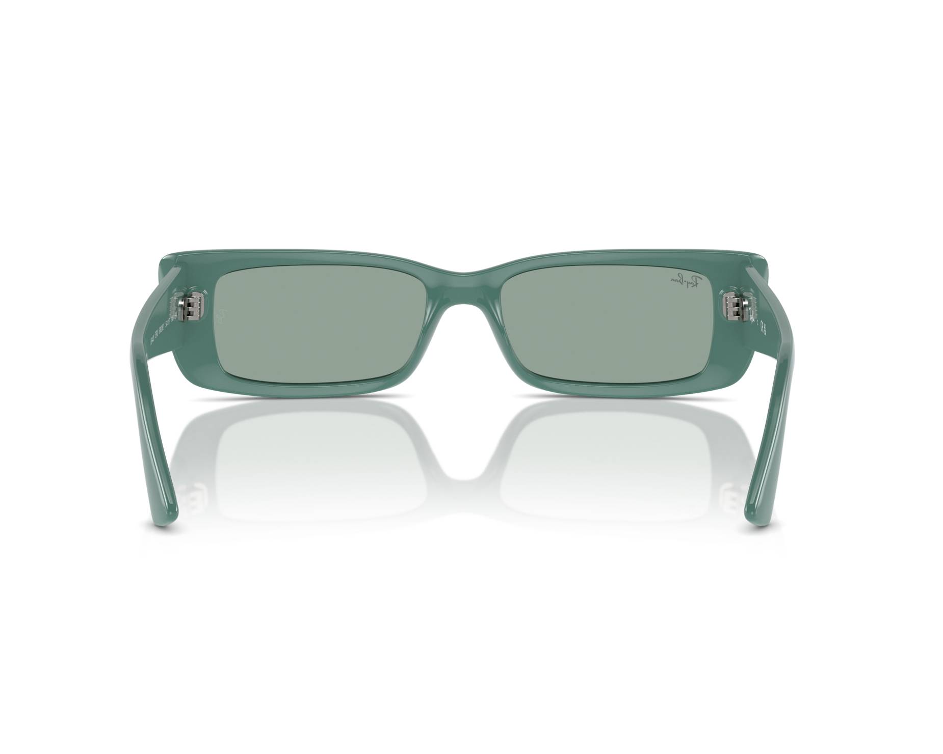 Ray-Ban Sunglasses Teru RB4425 676282