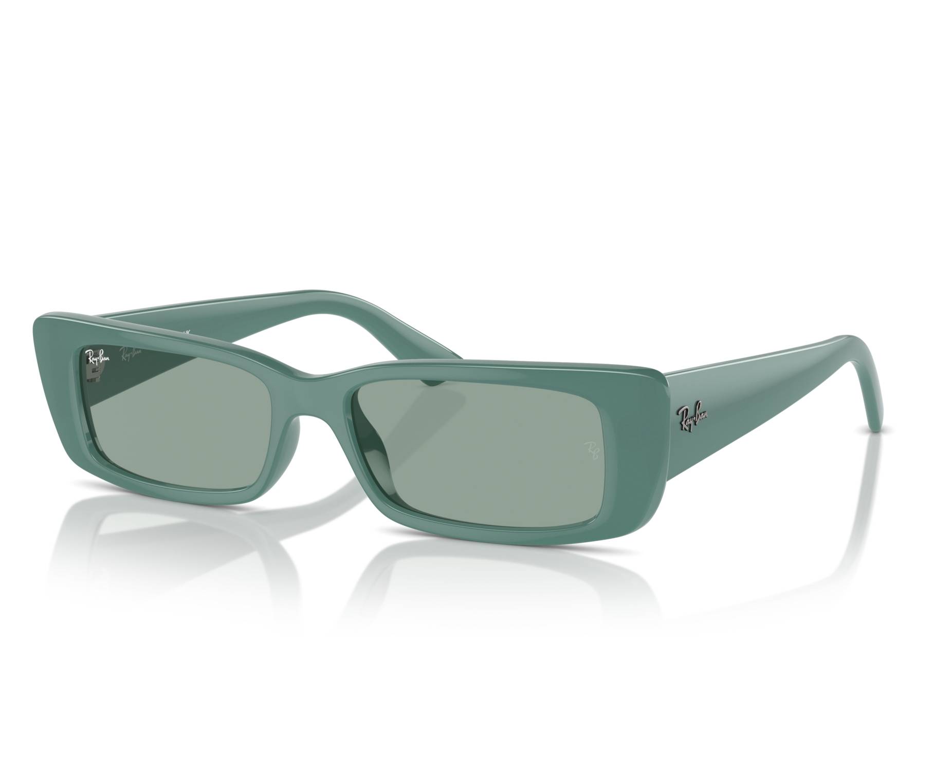 Ray-Ban Sunglasses Teru RB4425 676282