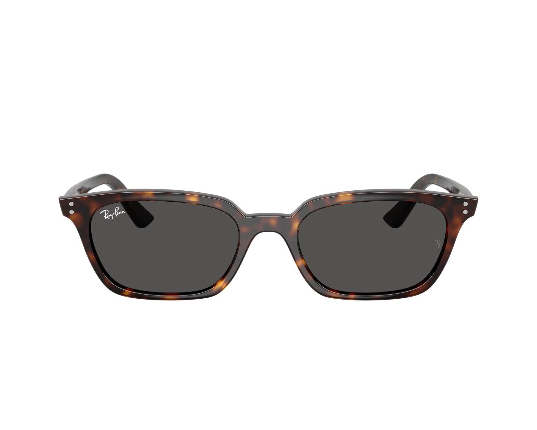 Ray-Ban Sunglasses Zaya RB4456 135987