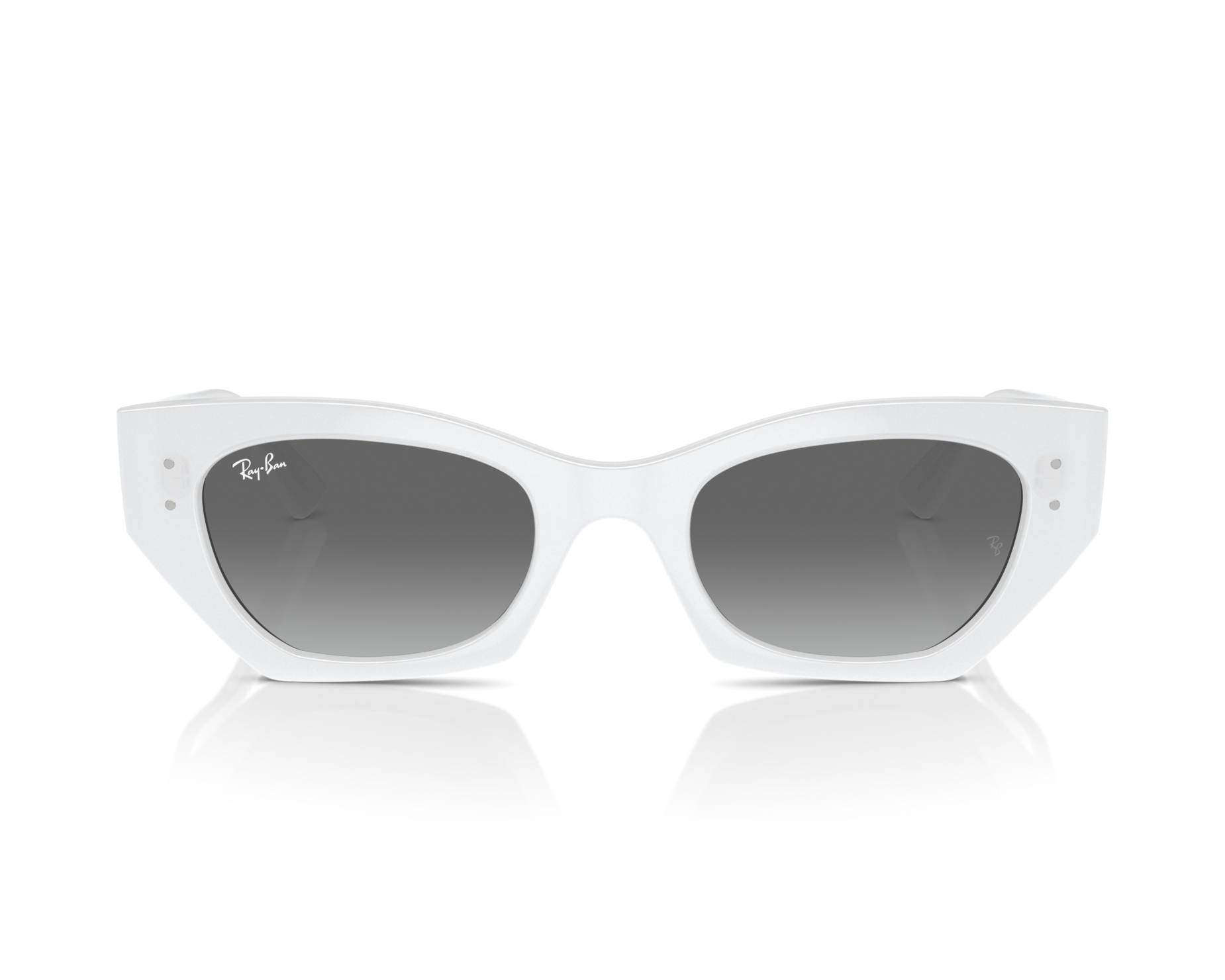 Ray-Ban Sunglasses Zena RB4430 675911