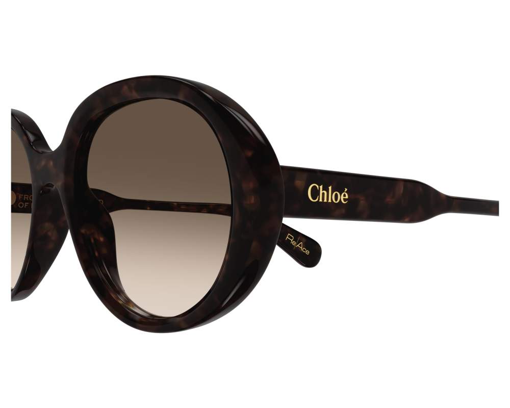 Chloe Sunglasses GAYIA CH0221S 002