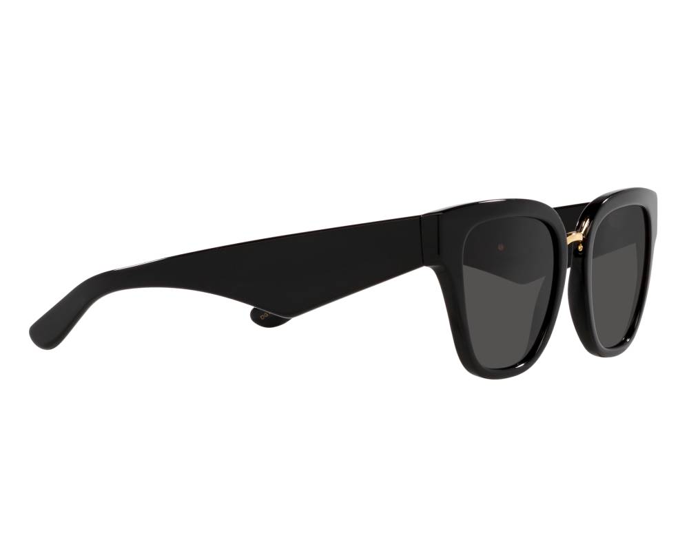 Dolce & Gabbana Sunglasses DG4437 501/87