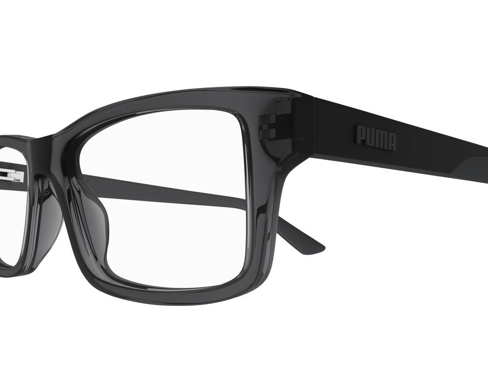 Puma Glasses PU0431O 002