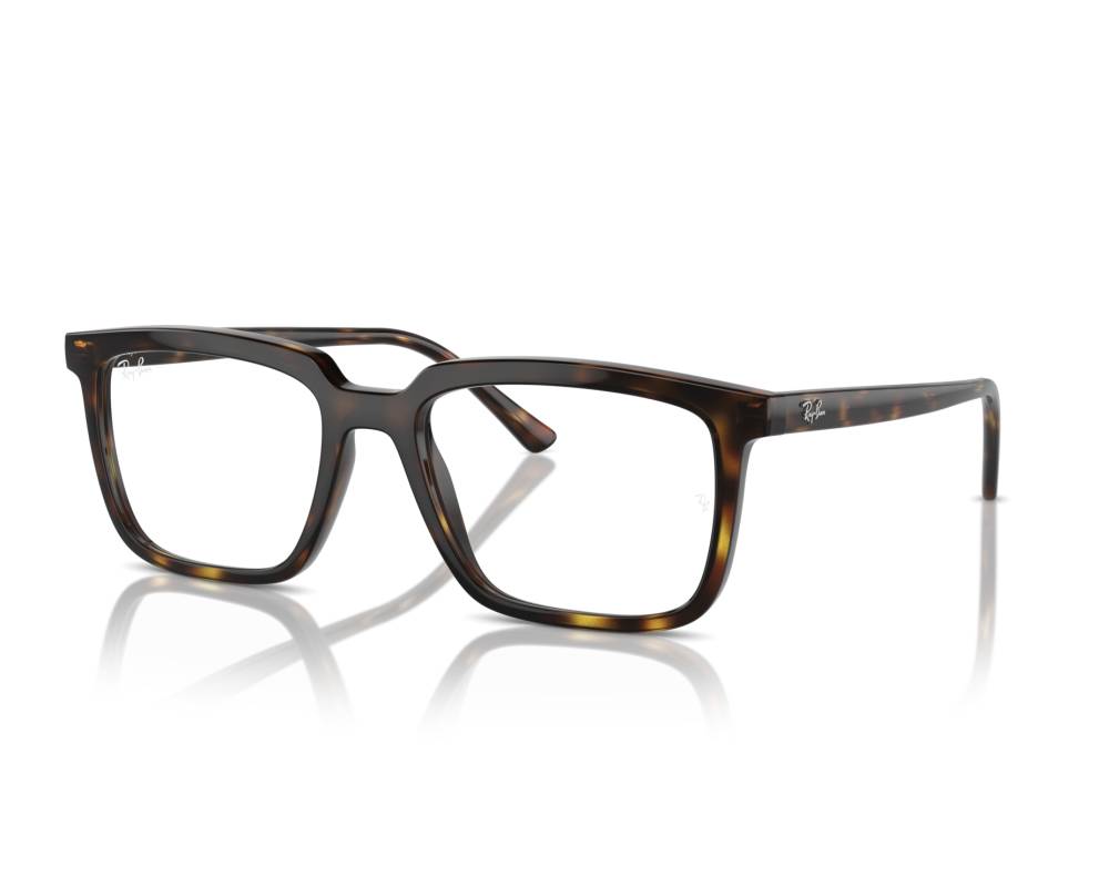 Ray-Ban Glasses Alain RX7239 2012