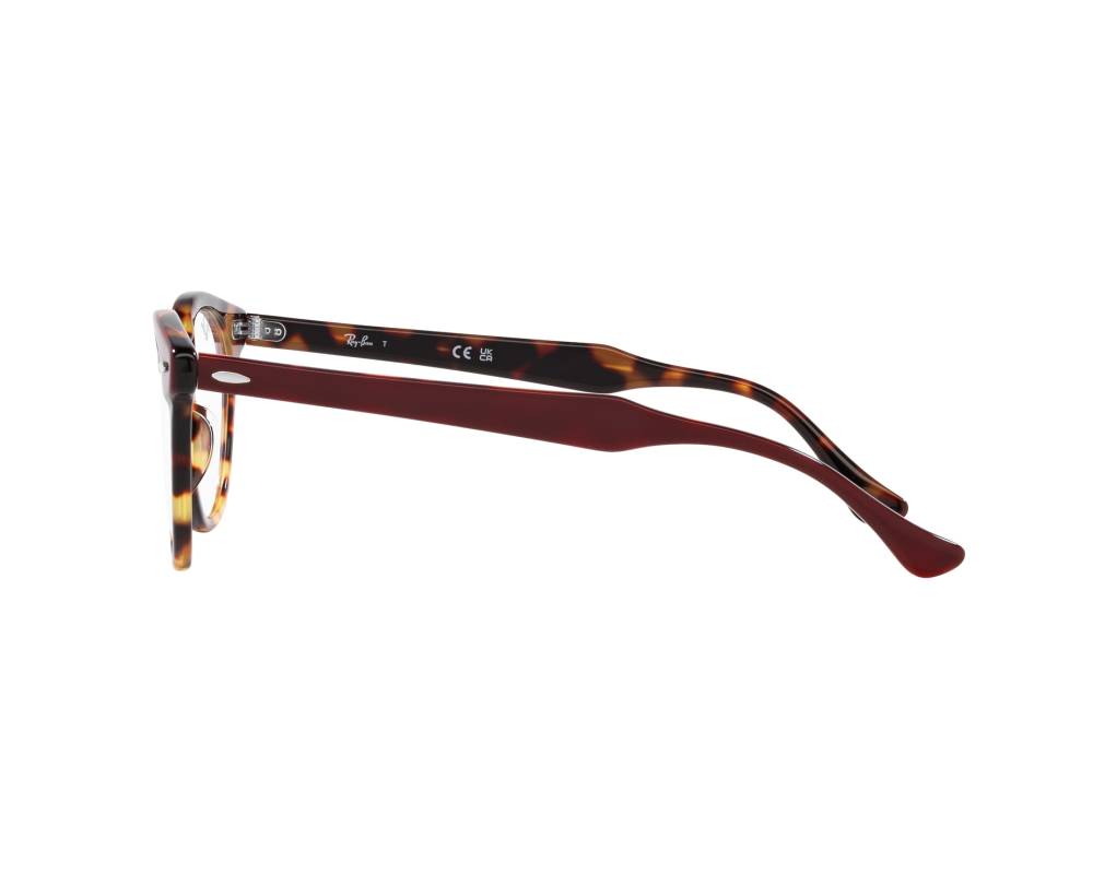 Ray-Ban Glasses Eagleeye RX5598 8250