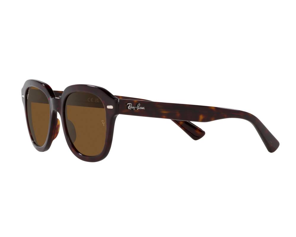 Ray-Ban Sunglasses Erik RB4398 902/57