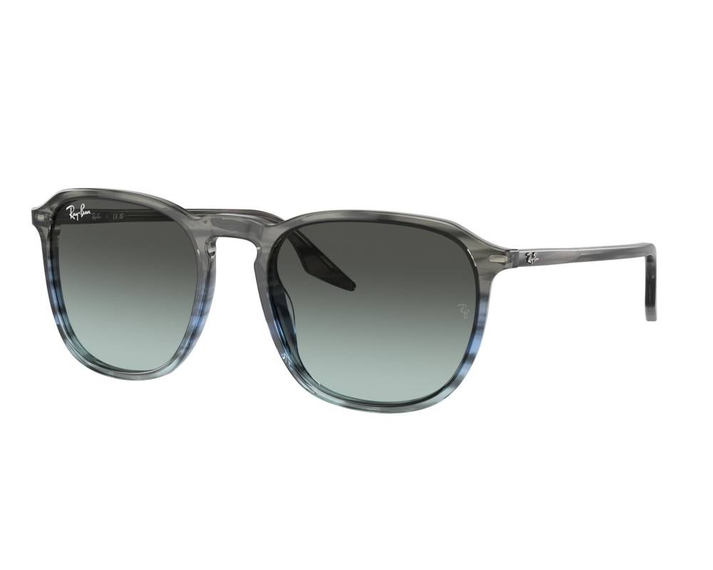 Ray-Ban Sunglasses RB2203 1391GK