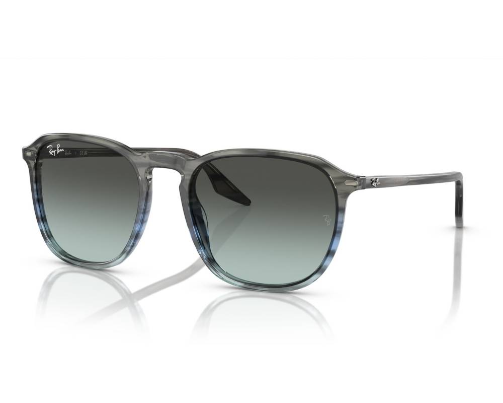 Ray-Ban Sunglasses RB2203 1391GK