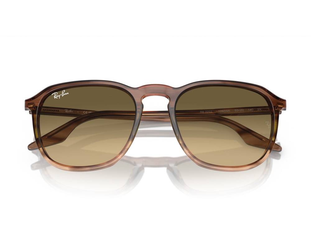 Ray-Ban Sunglasses RB2203 13920A